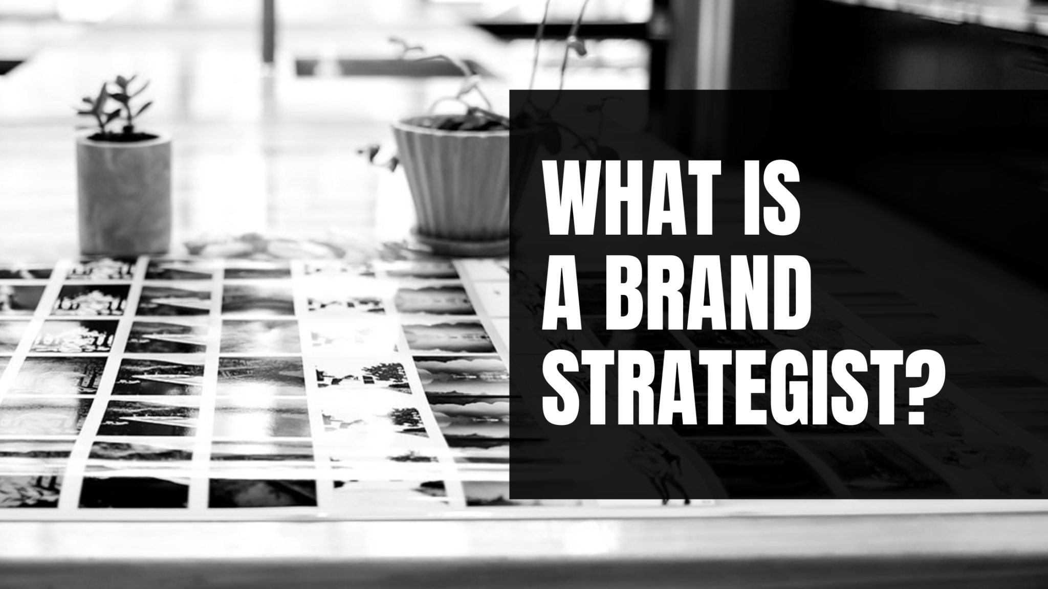 5 Reasons Branding is so Important PULP Brand Studio